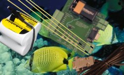 Ocean Sensors manufactured by Ocean Sensor Systems